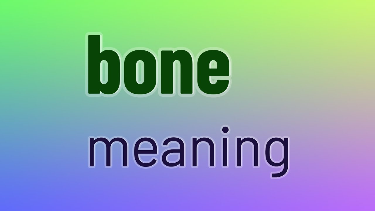 Bone - 174 English Vocabulary Flashcards - YouTube