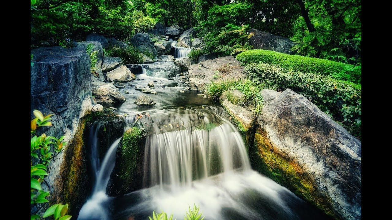 Captivating Water Running Experiments: The Flow of Science in Action ...