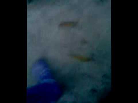 bbbbbbbbbbbbbbbbbbbbbbb - YouTube