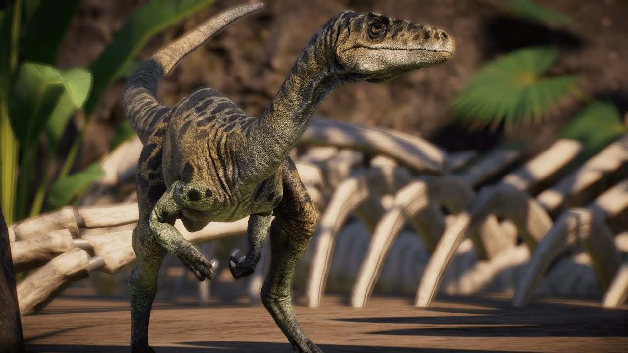 Novel Coelurus - New Species - Jurassic World Evolution 2 Modding - YouTube