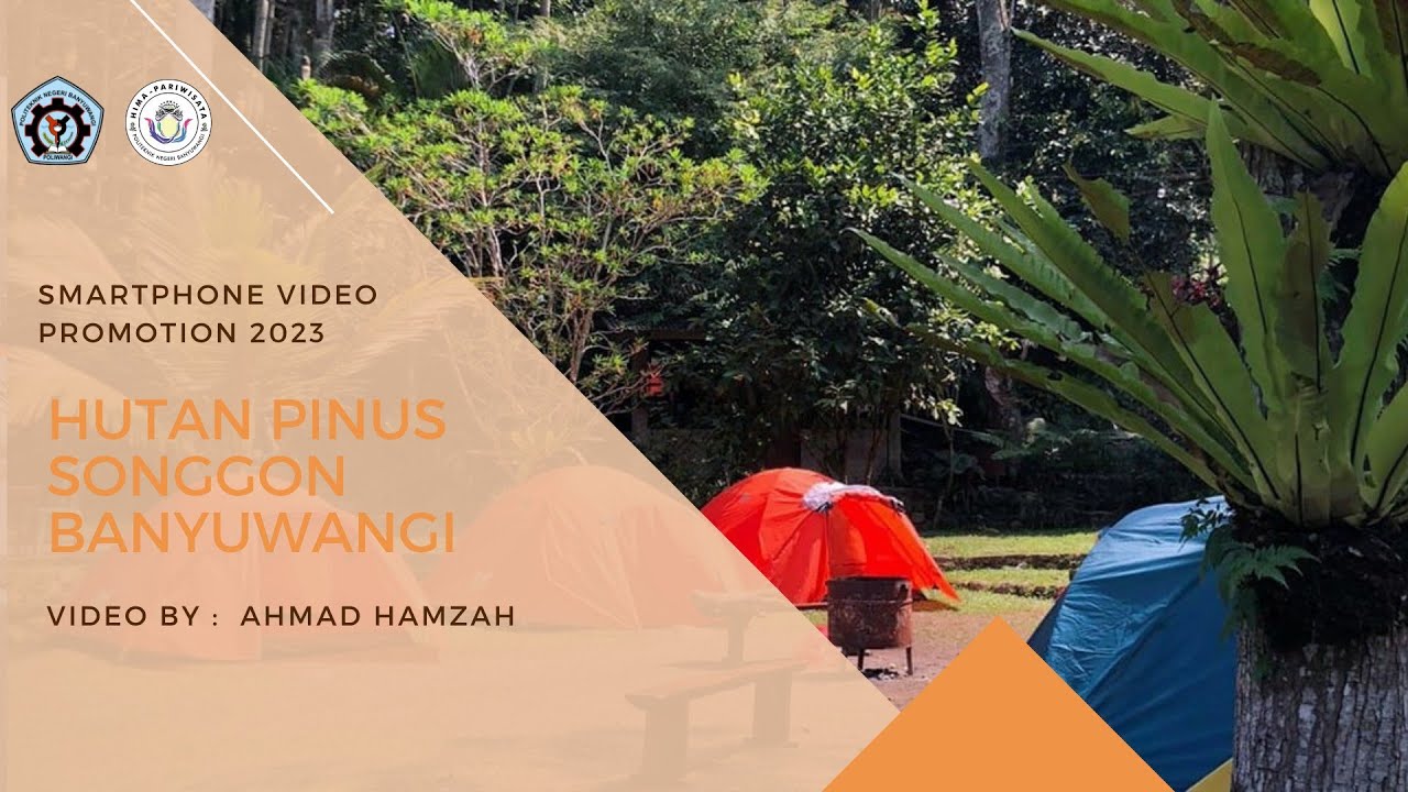 Wisata Hutan Pinus Camp 2 Banyuwangi - YouTube