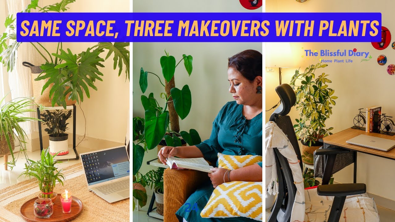 Home Decor With Plants: Same Space, Three Ways | Plant Based Home ...