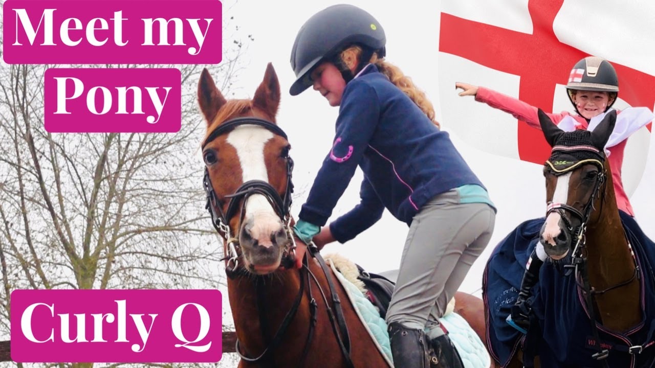 Meet My Pony Curly Q at Home - YouTube