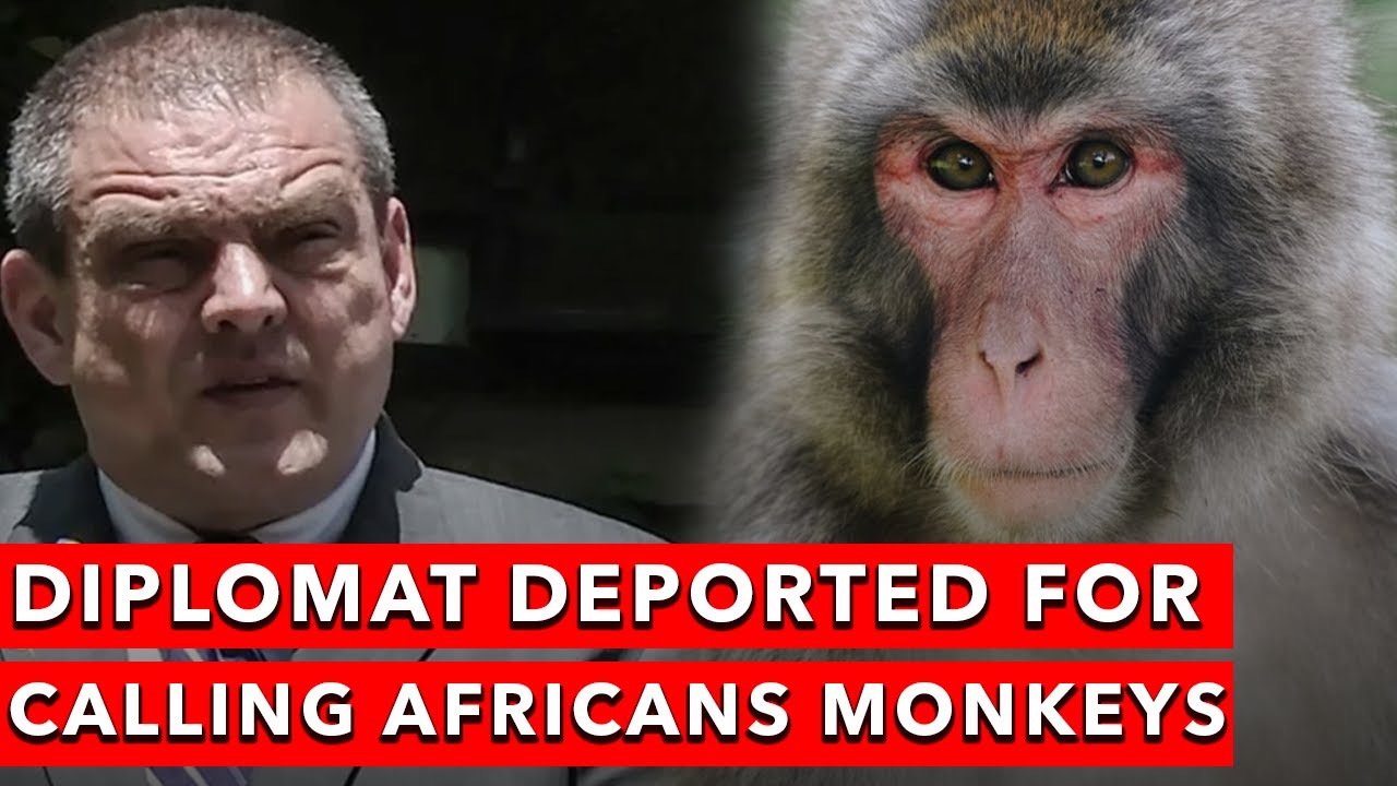 Romania Ambassador To Kenya Deported After Monkeys Slurs Targeting ...