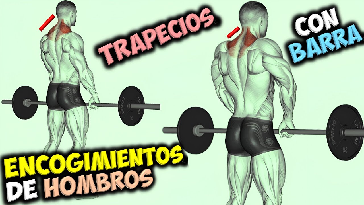 EJERCICIO Para TRAPECIOS Los ENCOGIMIENTOS De HOMBROS, Con BARRA 👉 Gana ESPALDA Ancha!!! - YouTube