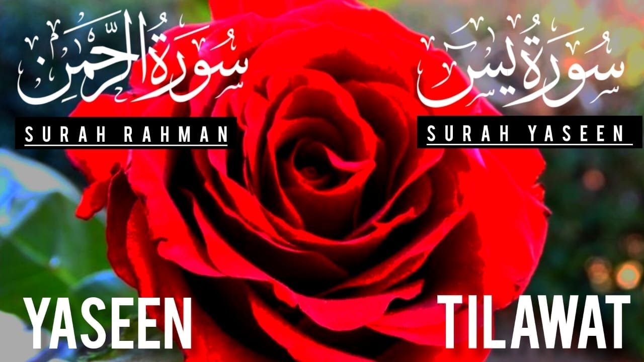 Surah Yaseen | Yasin Dua | Episode 59 | Yaseen Tilawat Surah Yasin ...