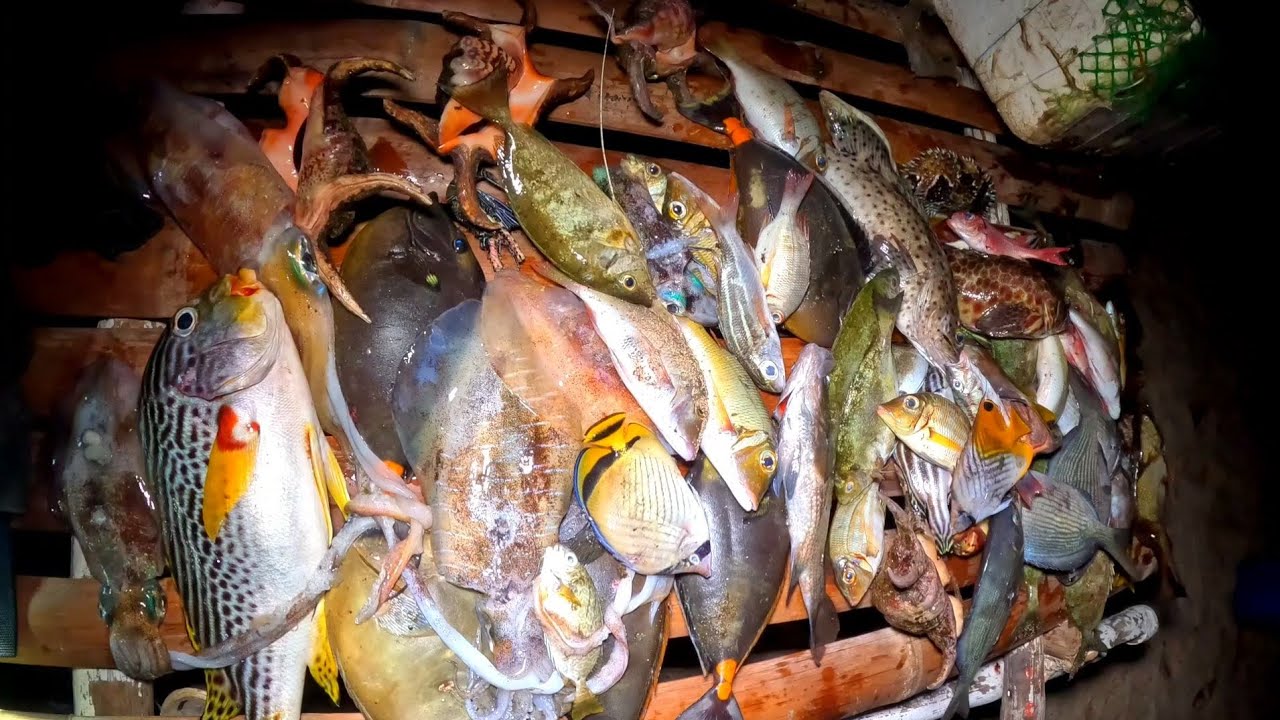 Tiba-tiba na naman sa ulam night spear fishing catch and cook - YouTube