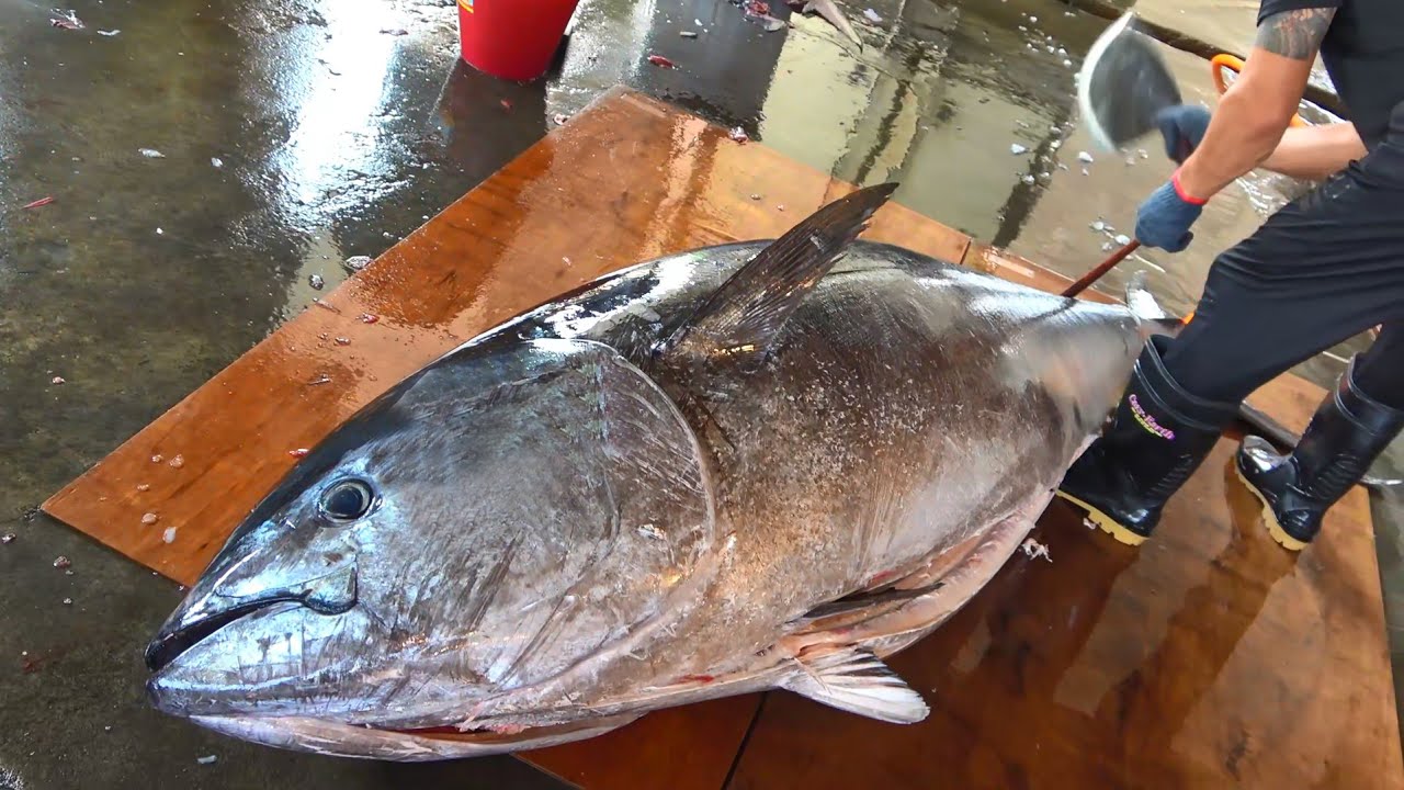 Watch the Incredible Art of Slicing a 700-Pound Bluefin Tuna for ...
