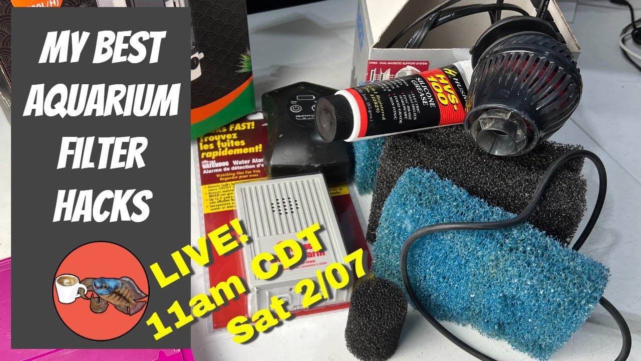 Aquarium Filter *CHEAT CODES* that MAKE A BIG DIFFERENCE! - LIVE ...