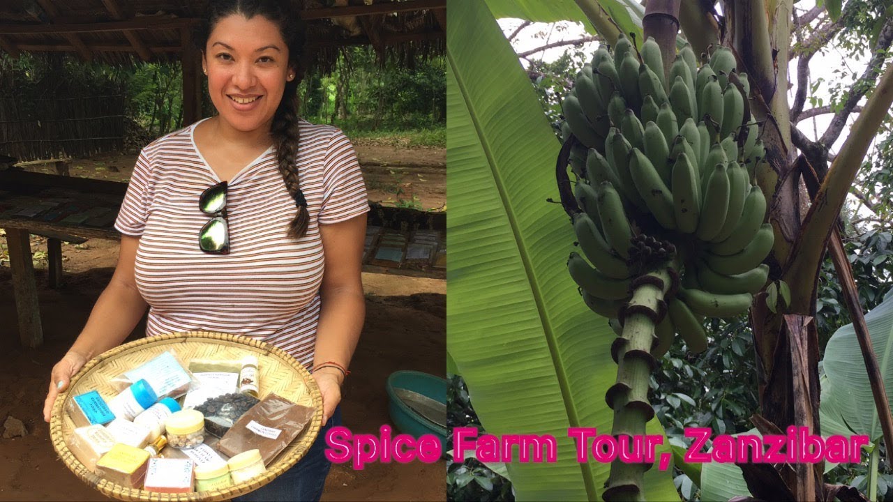 Spice Farm Tour, Zanzibar - YouTube