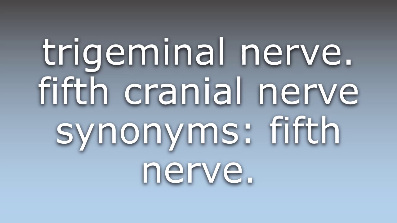 What Does Fifth Cranial Nerve Mean YouTube What Does Fifth Cranial Nerve Mean YouTube