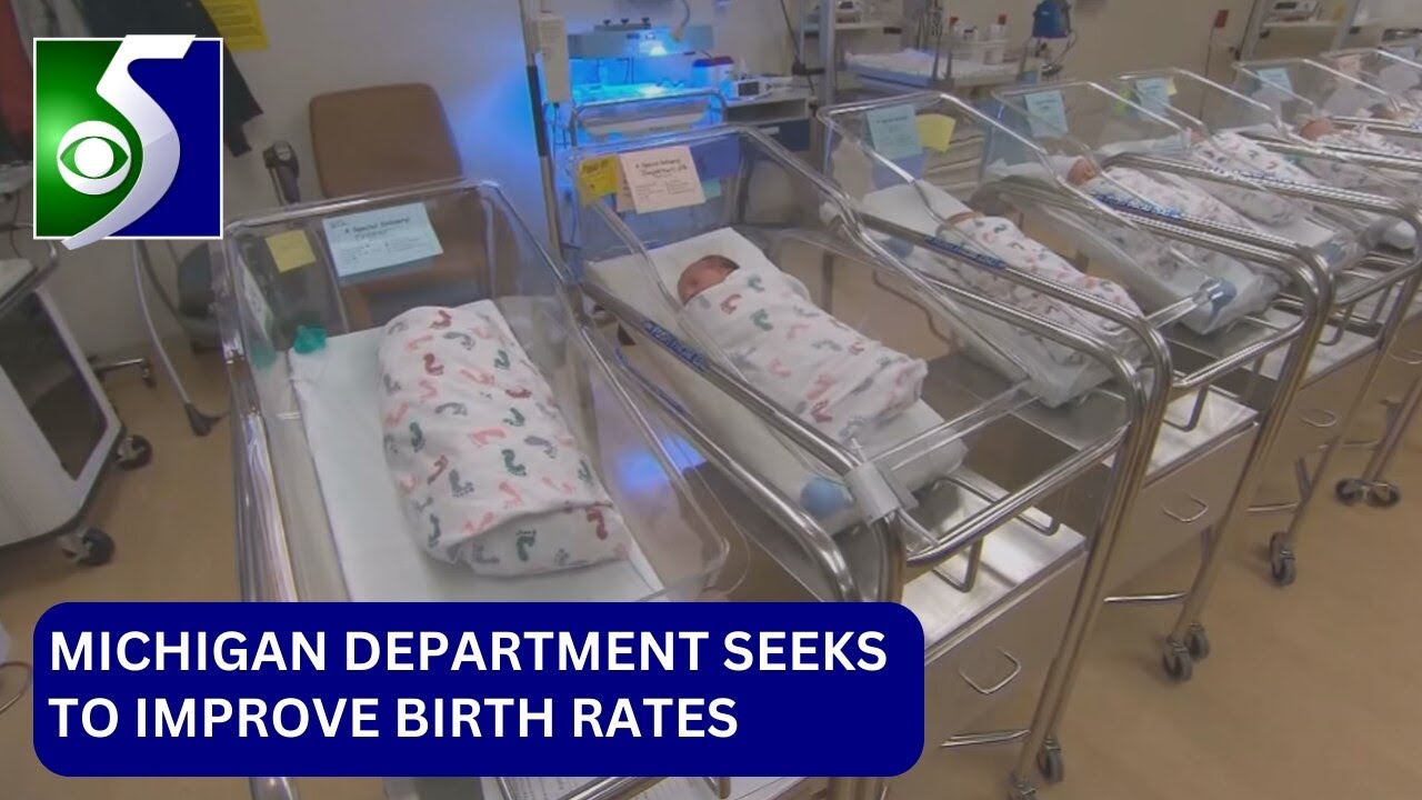 Michigan department focuses on improving birth outcomes - YouTube