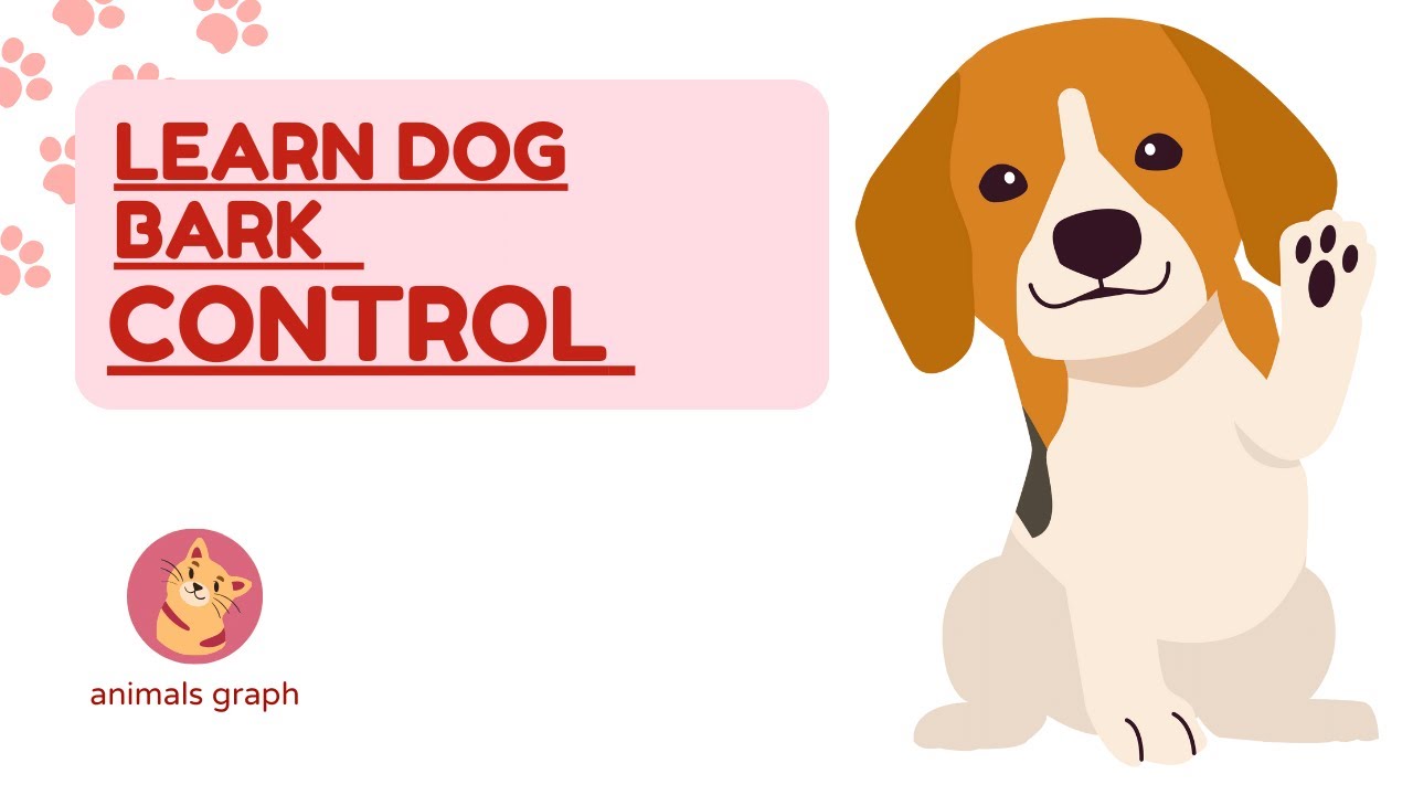 Learn Dog Bark Control Mastering the Art 🐶FREE PDF📕 IN BIO - YouTube