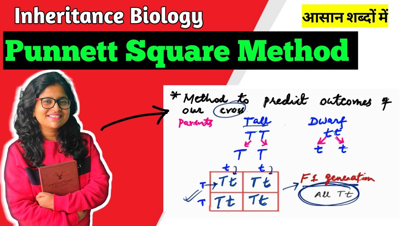 Punnett Square Method | What is Punnett Square Method 😎🤨 - YouTube