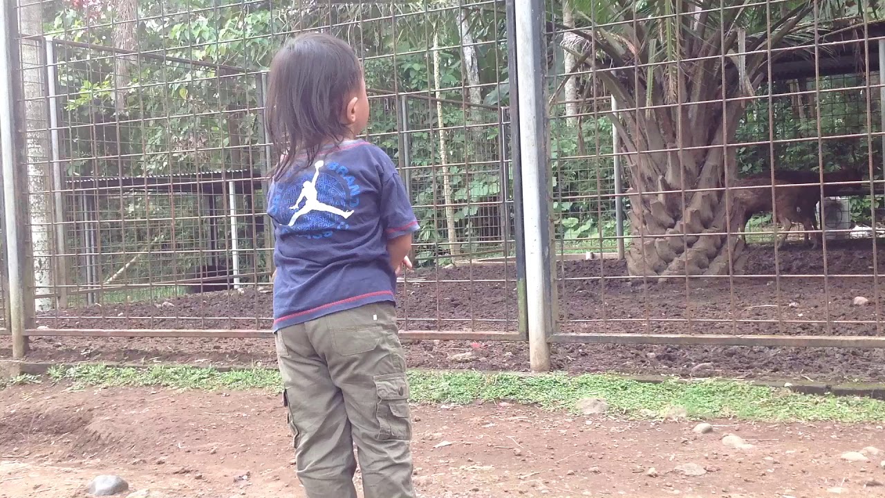 Alam di Galaxy jember - YouTube