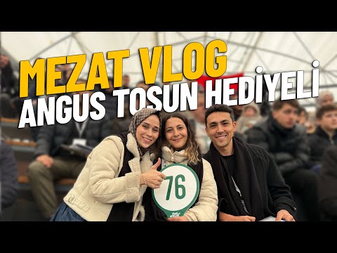 5.Dost Mezat Vlog | 1 Yıllık Yem Desteği & Angus Tosun Hediyeli