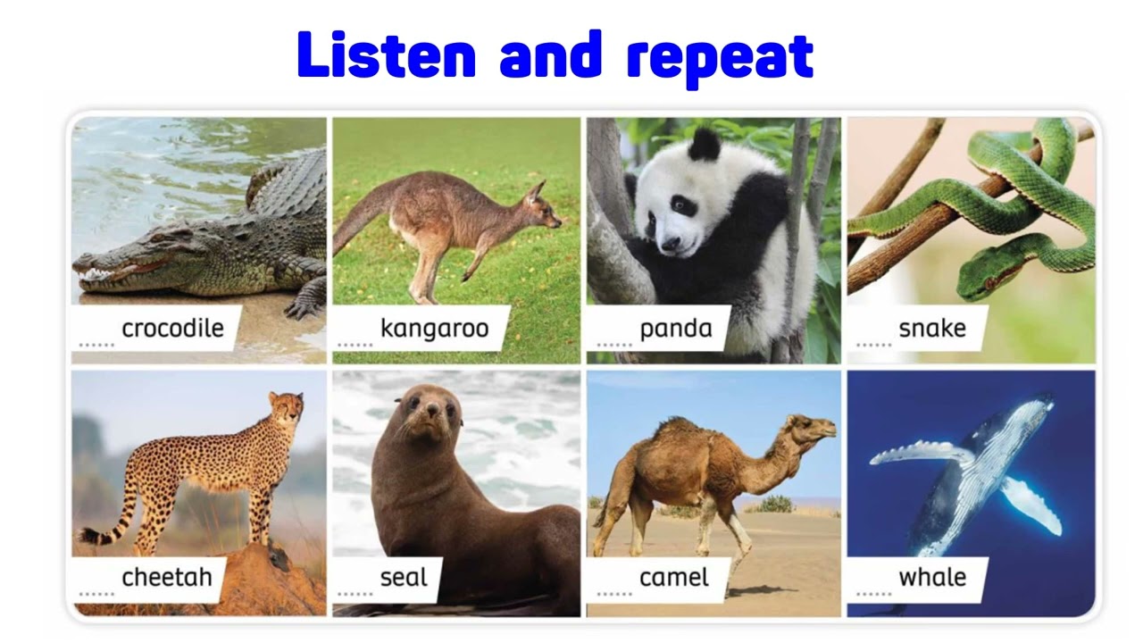 NIK2 Unit 2 Vocabulary 1 - YouTube