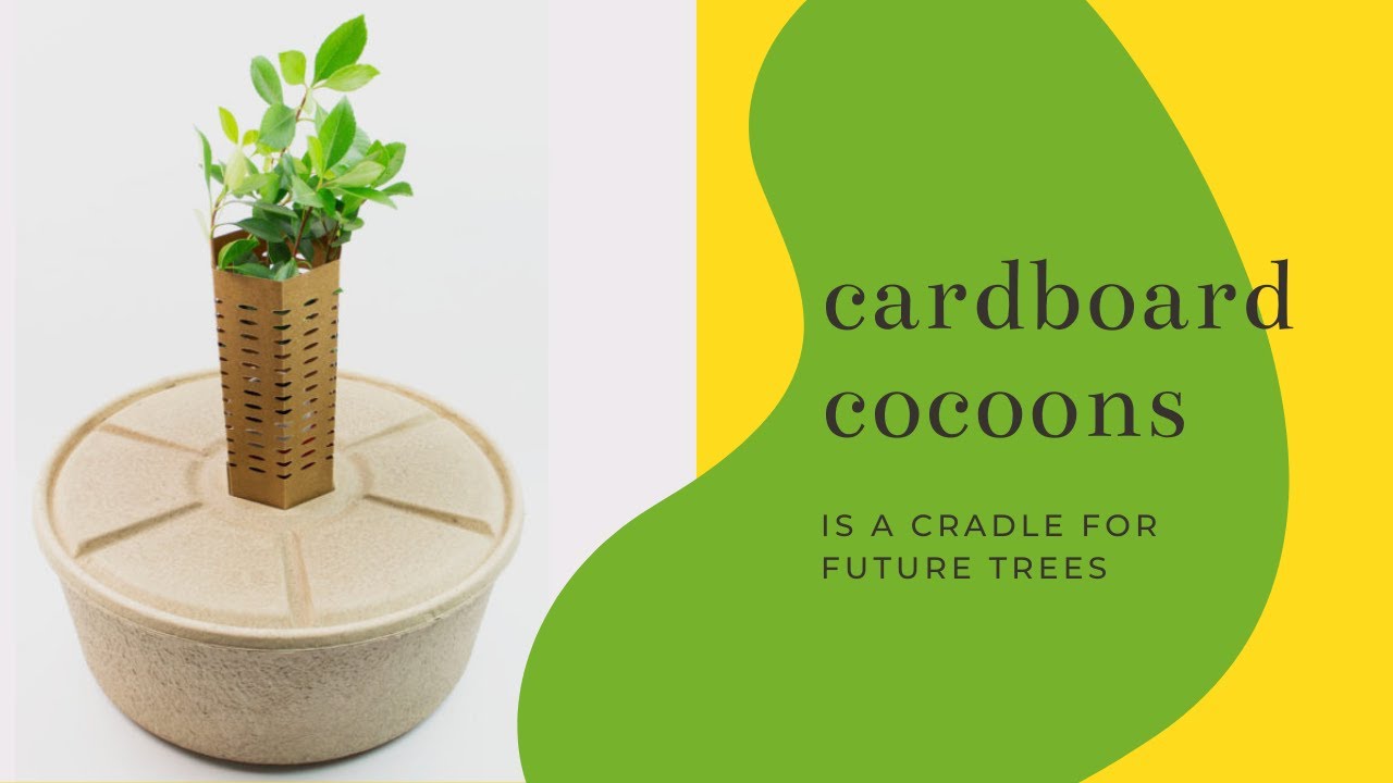 CARDBOARD COCOON IS A CRADLE FOR FUTURE TRESS/ HOW ITS WORKS EXPLAINED ...