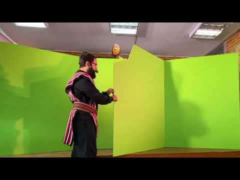 VIDEO EL TEJIDO DE LA VIDA