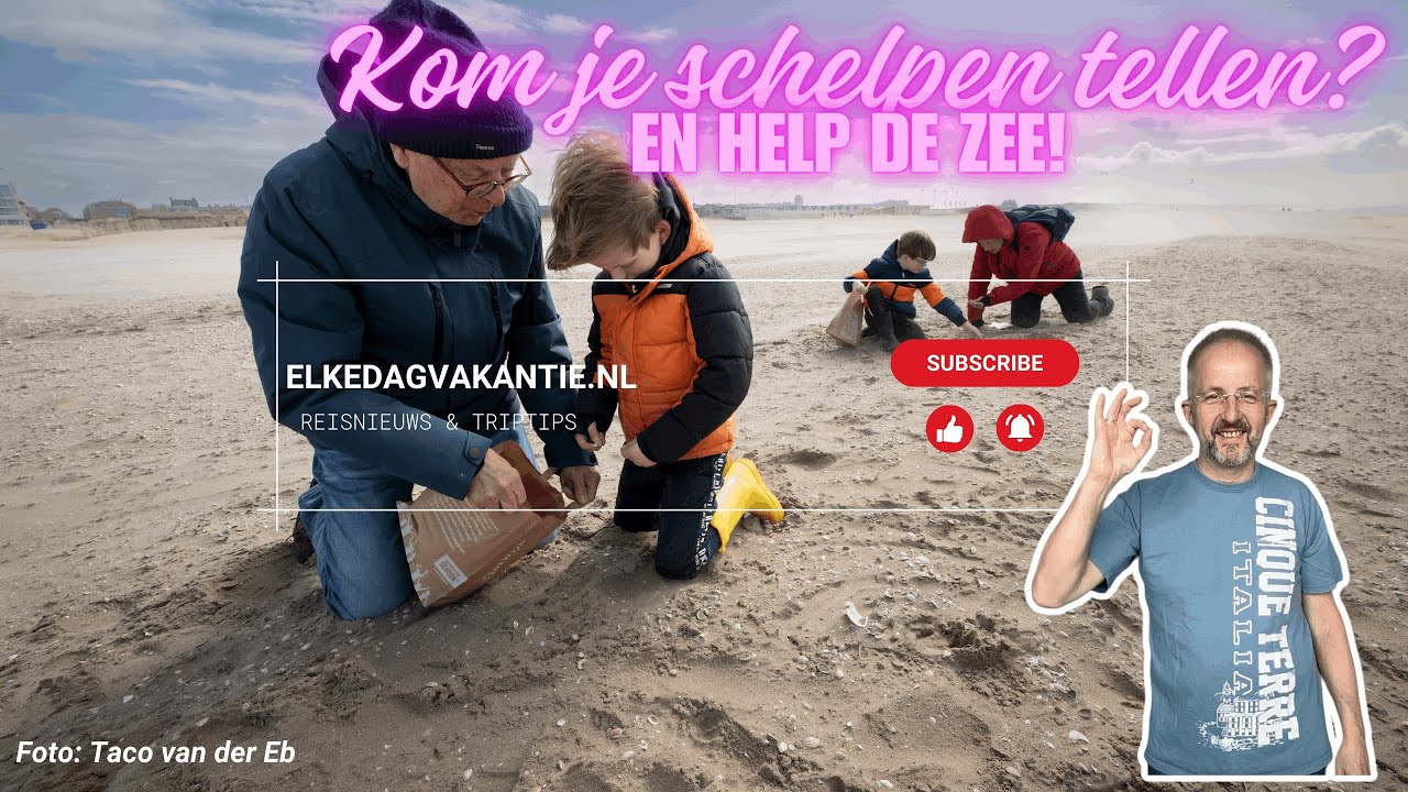 Kom je schelpen tellen? & De festivals van 2024 - YouTube