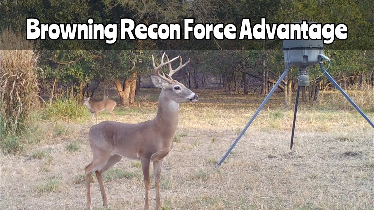 Deer Feeder Cam #1: Browning Recon Force Advantage Trail Camera Nov. 16 ...