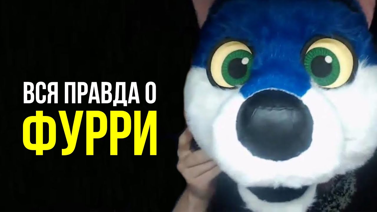 ФУРРИ Секс фетиш милое хобби или низкая самооценка Youtube