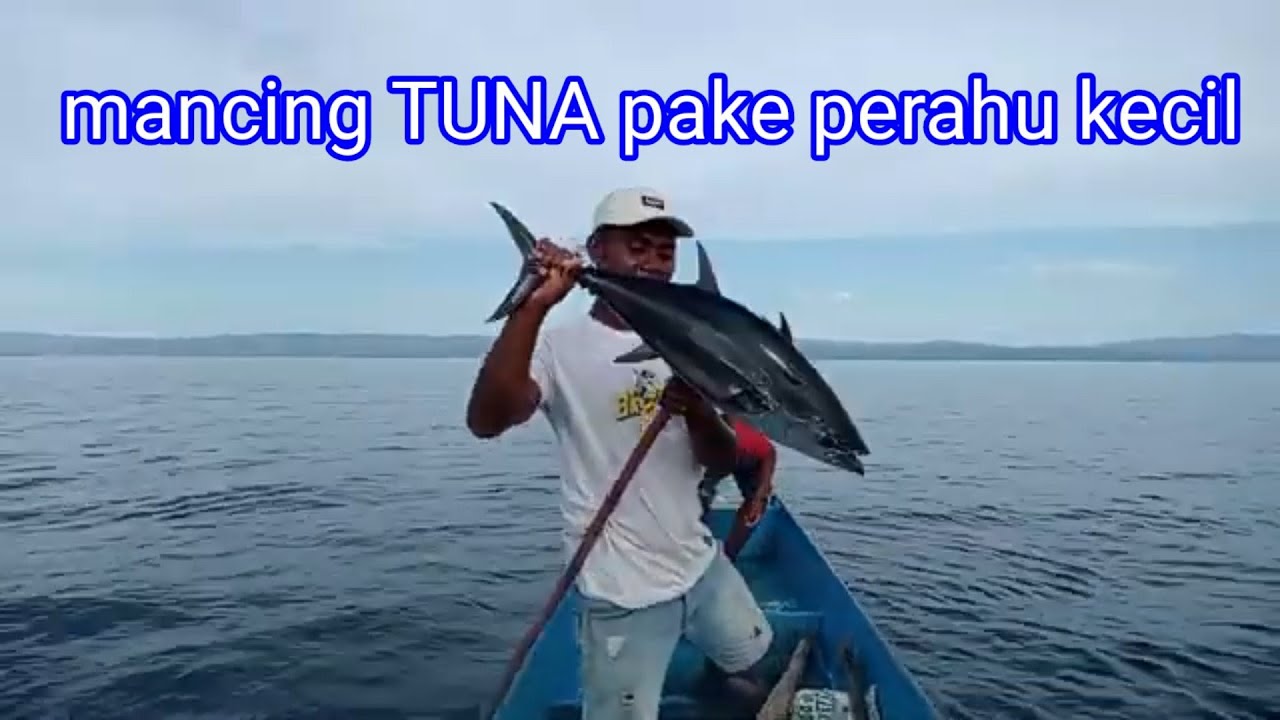 Mancing ikan TUNA - YouTube
