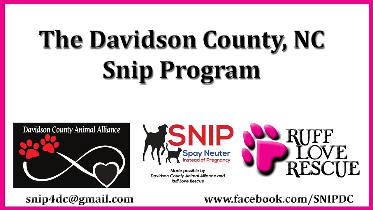 Davidson County, NC SNIP Program - YouTube