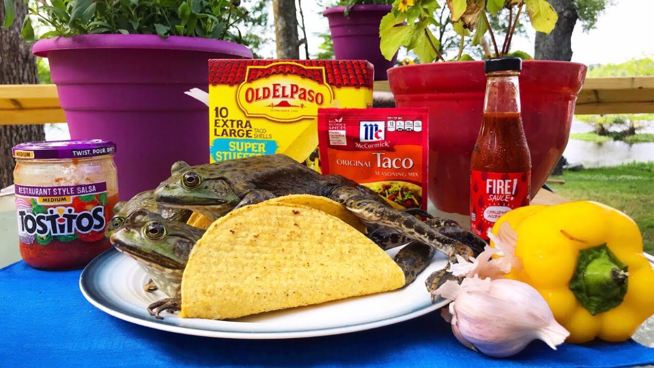 Making a FROG Taco! UNBELIEVABLE Catch and Cook!!!!! - YouTube