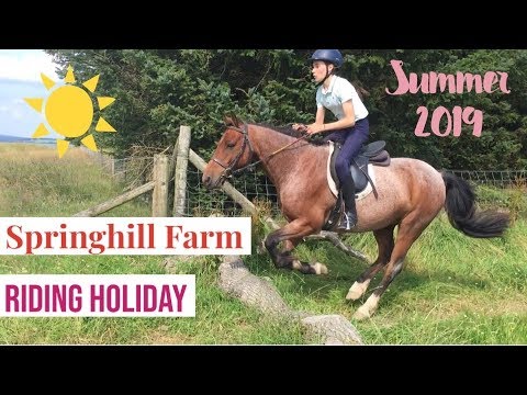 Springhill Farm Teenage Riding Holiday | Summer 2019 | HB Equestrian ...