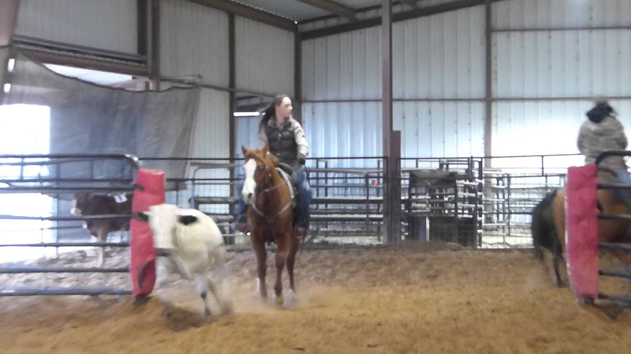 Moe - sorting practice - #1 - Valley View Ranch - YouTube