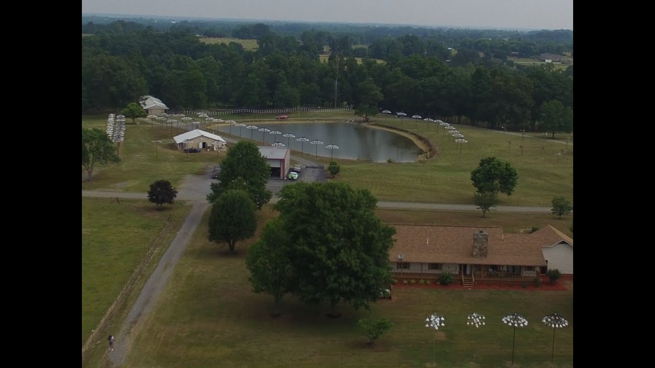 Jerral Johnson Purple Martin Colony - YouTube