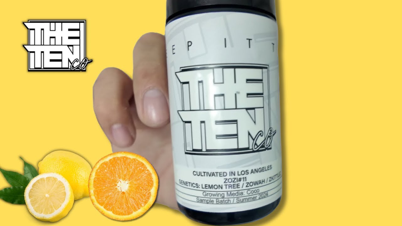 The Ten Co: ZOZI 11 (Taste Incredible) - YouTube