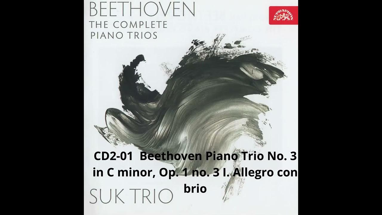CD2 01 Beethoven Piano Trio No 3 in C minor, Op 1 no 3 I Allegro con brio @ 432hz - YouTube