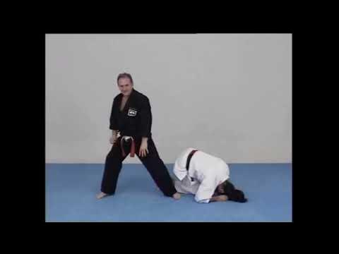 15-IMP-WJJF/JUKO RYU JUJUTSU- Orange Belt Syllabus / 5th Kyu (Improved) - YouTube