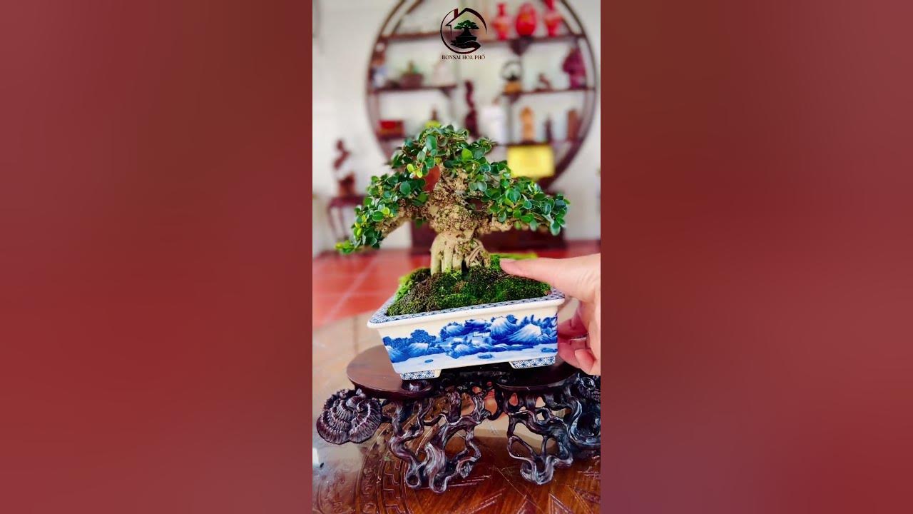 Mời trà - YouTube