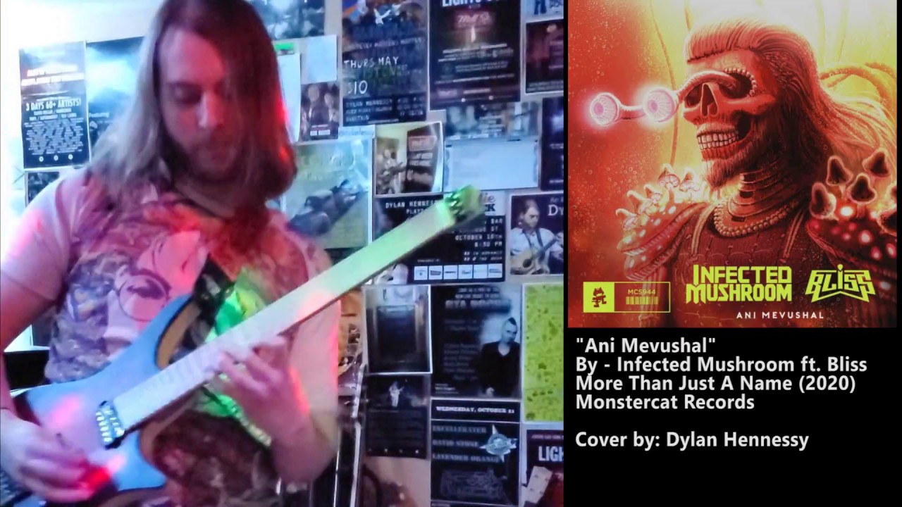 Ani Mevushal (Guitar Cover Mini-Mix) - Infected Mushroom & Bliss - YouTube