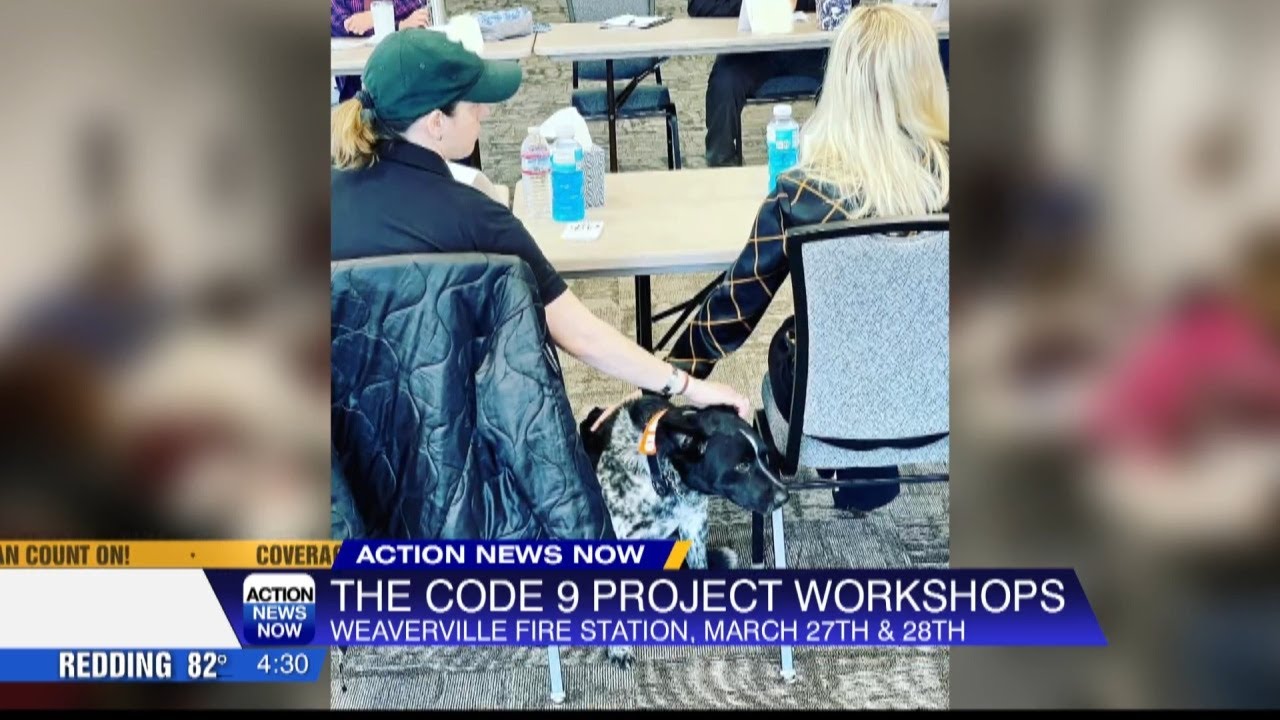 The Code 9 Project to host a mental health education workshop for ...