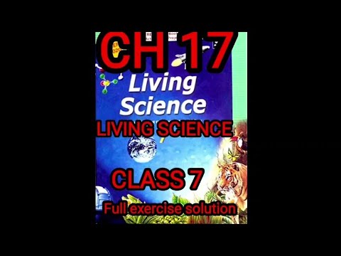 CH 17 || LIVING SCIENCE CLASS 7 FULL EXERCISE SOLUTION | ALL IN STUDY ...