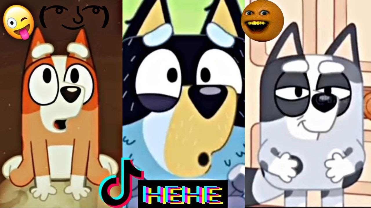 BLUEY - Best Funny Memes / TikTok Compilation #25 - YouTube