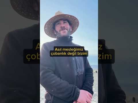 Ah içimzi yaktın Hamza Ali babası rahatsız olunca mecbur atanamayinca #öğretmen #cobán #hayvancılık