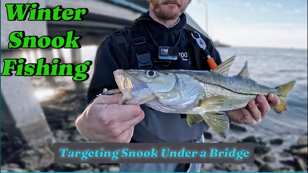 How To Catch Snook You See From Shore- Snook Fishing Technique - YouTube