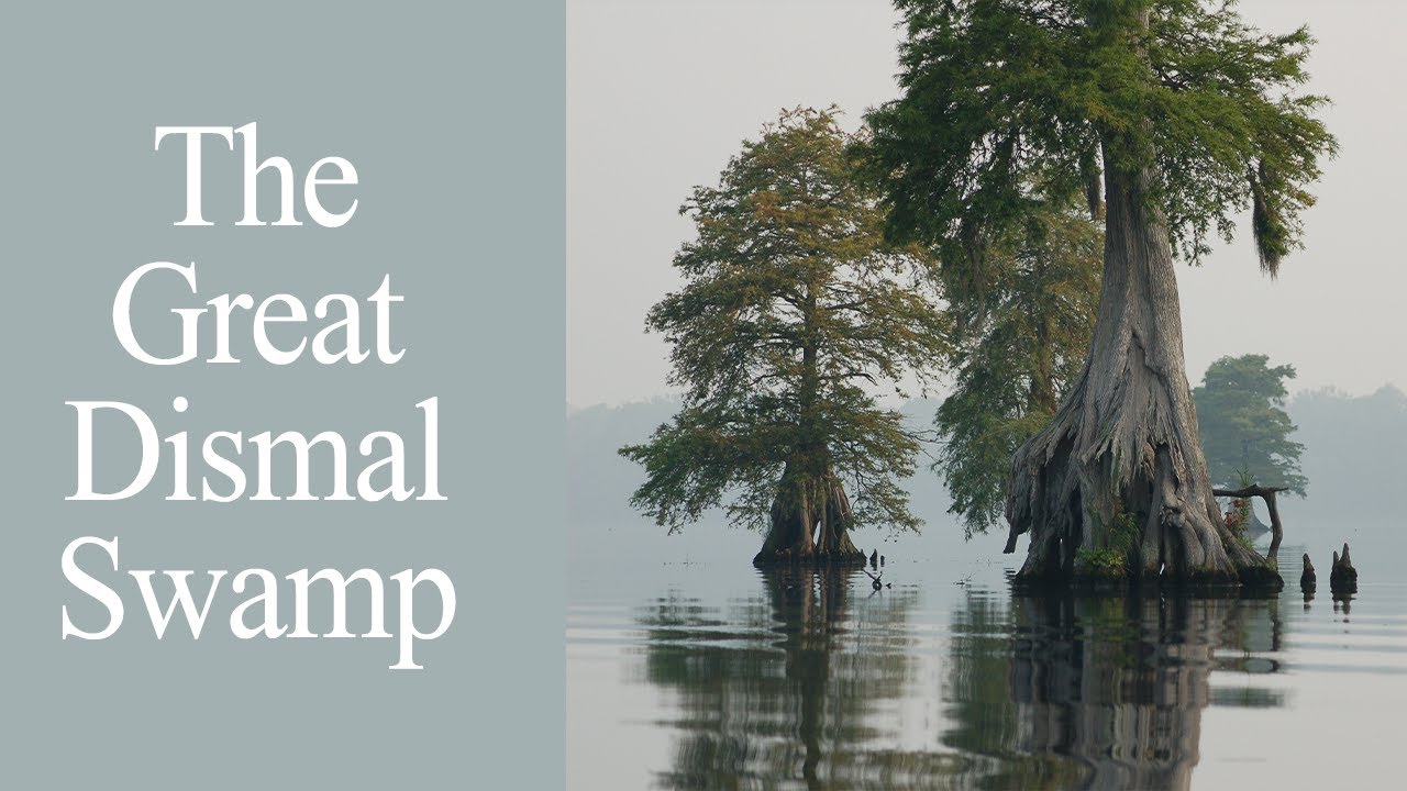 History Of The Great Dismal Swamp | Short Histories - YouTube