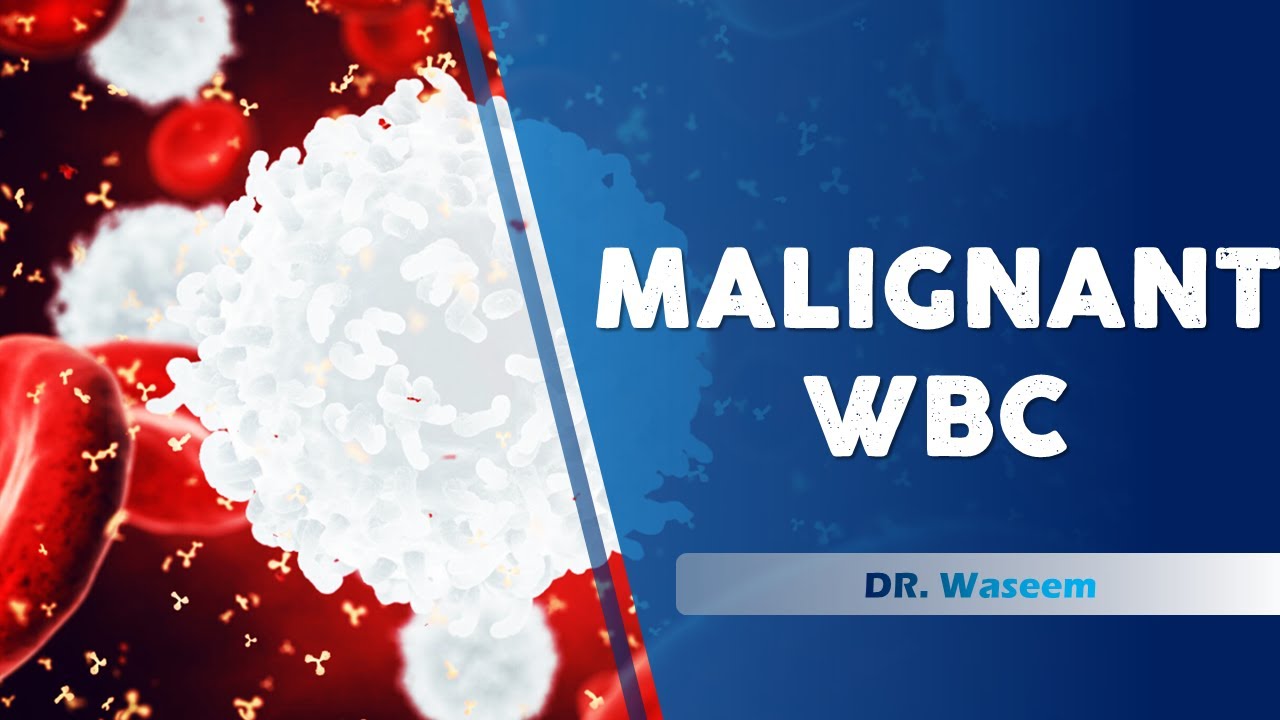Malignant WBC disorder part I || Dr. Waseem || Lecture 11 - YouTube