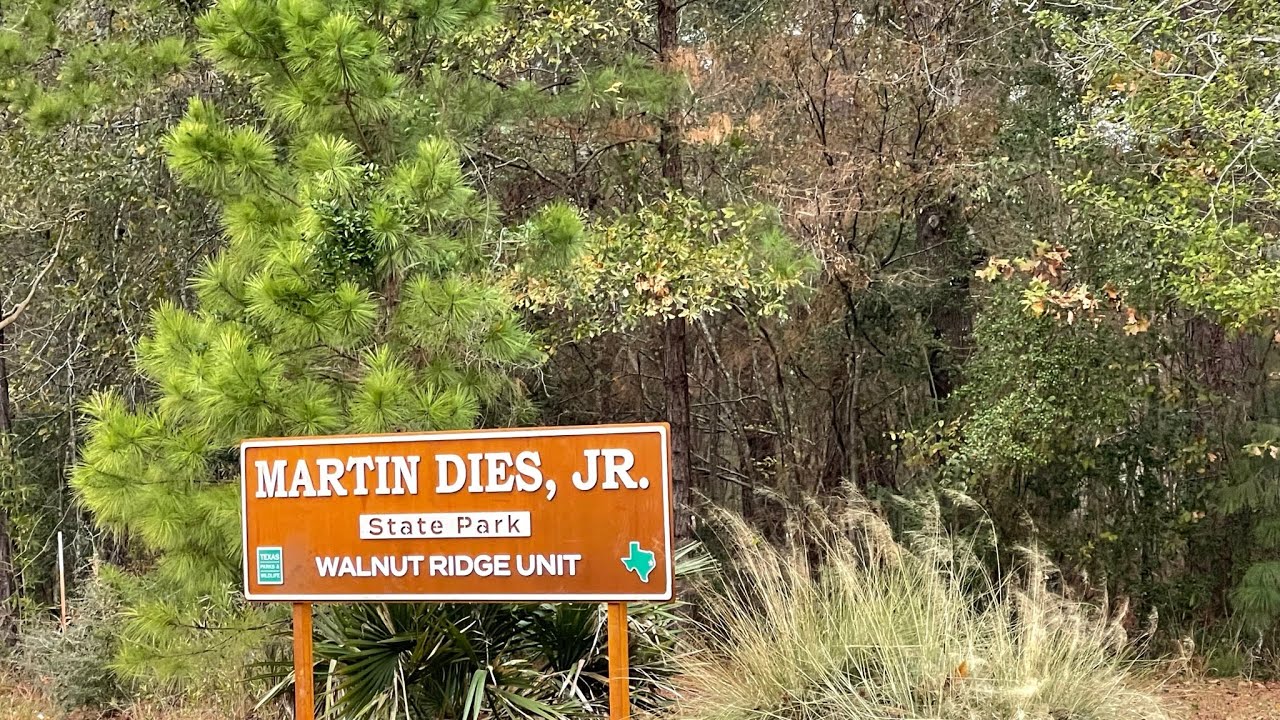 Martin Dies State Park, Texas - Wildlife Trail - YouTube