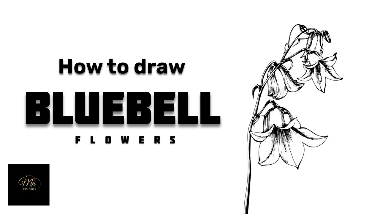 How to draw bluebell flowers ? Bluebell flowers sketch - YouTube