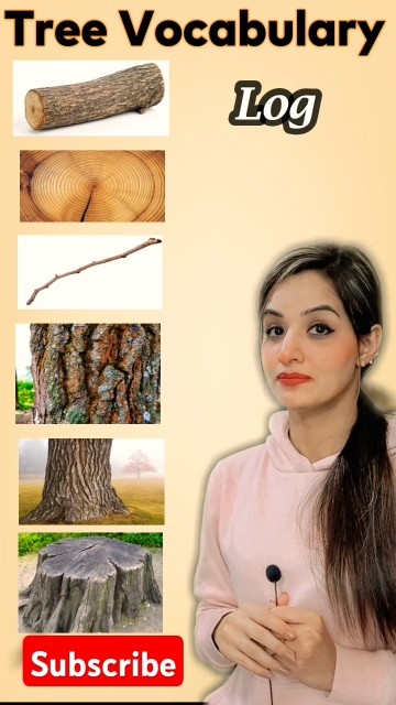 Learn Tree Vocabulary #vocabulary - YouTube
