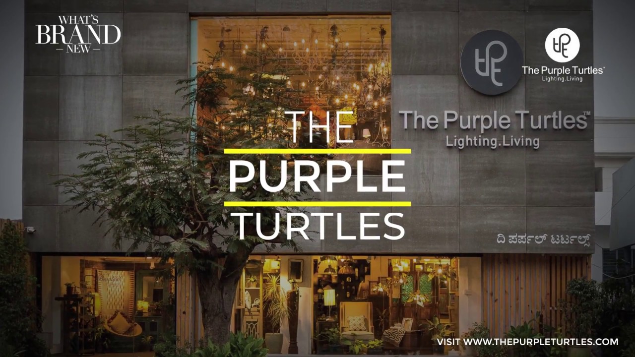 The Purple Turtles | Interiors | Lighting | Design House - YouTube
