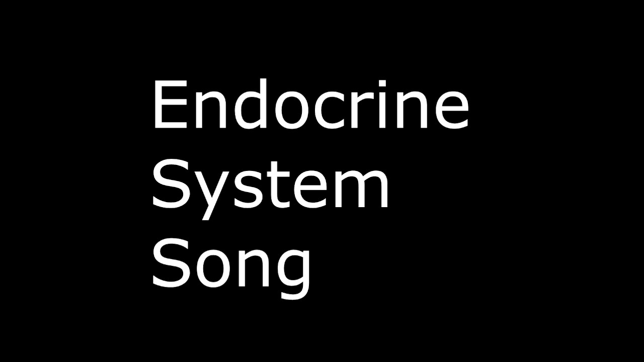 Endocrine System Song - YouTube