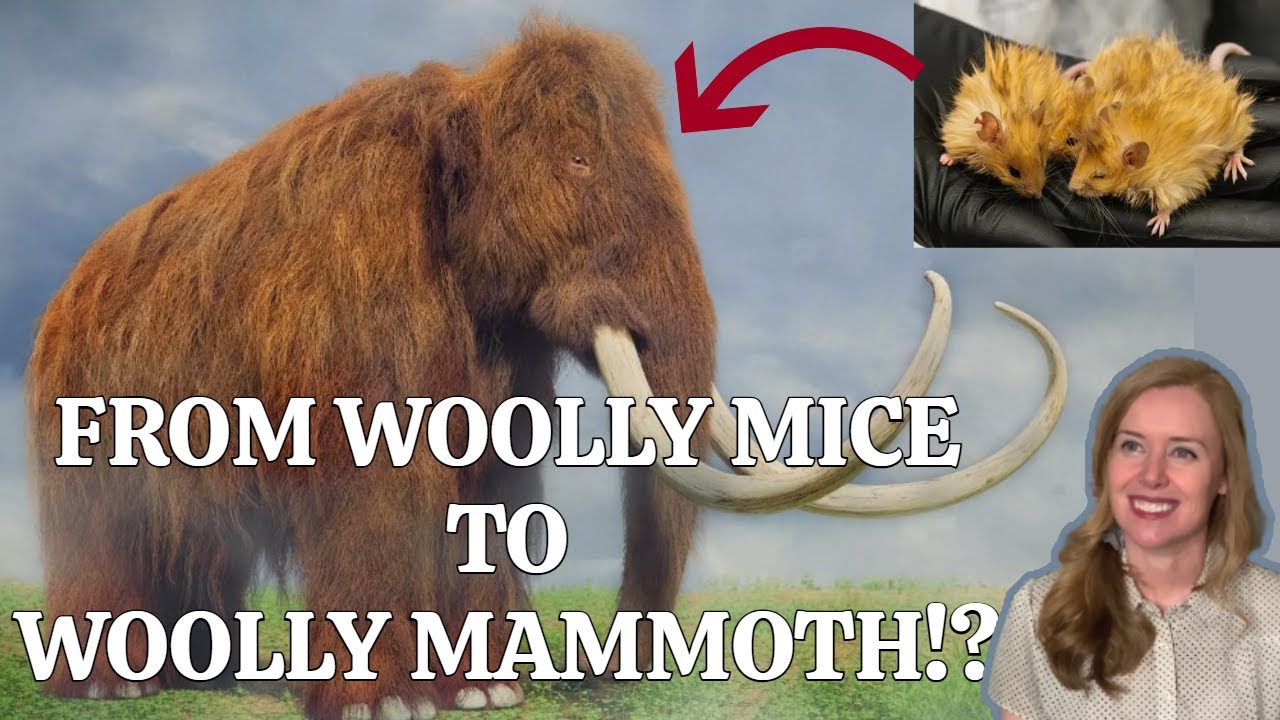 Are We Really Bringing Back The Woolly Mammoth? - YouTube